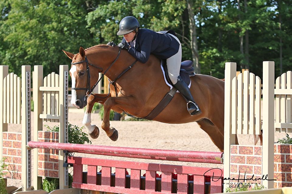 Hunter’s Run – Equestrian Riding Lessons